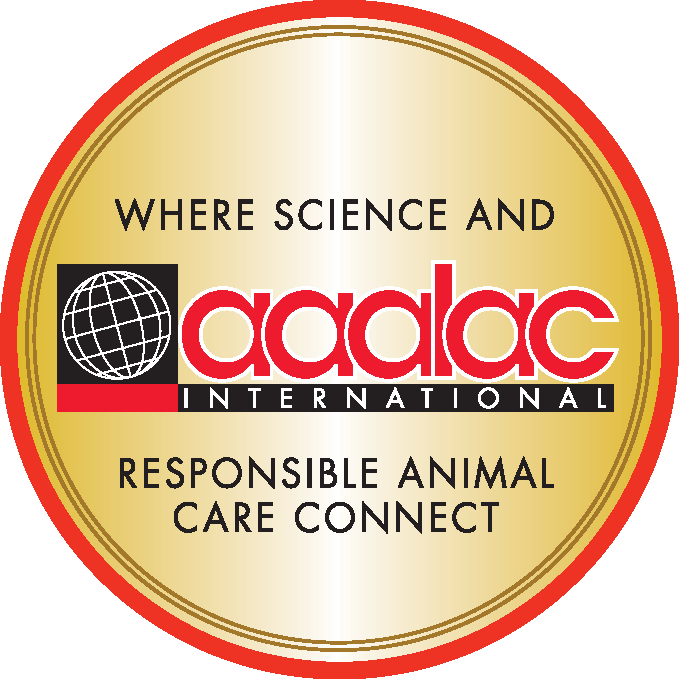 All courses | ACO Academy